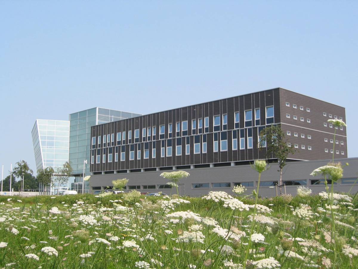 RENDO publiceert jaarcijfers - N.V. RENDO